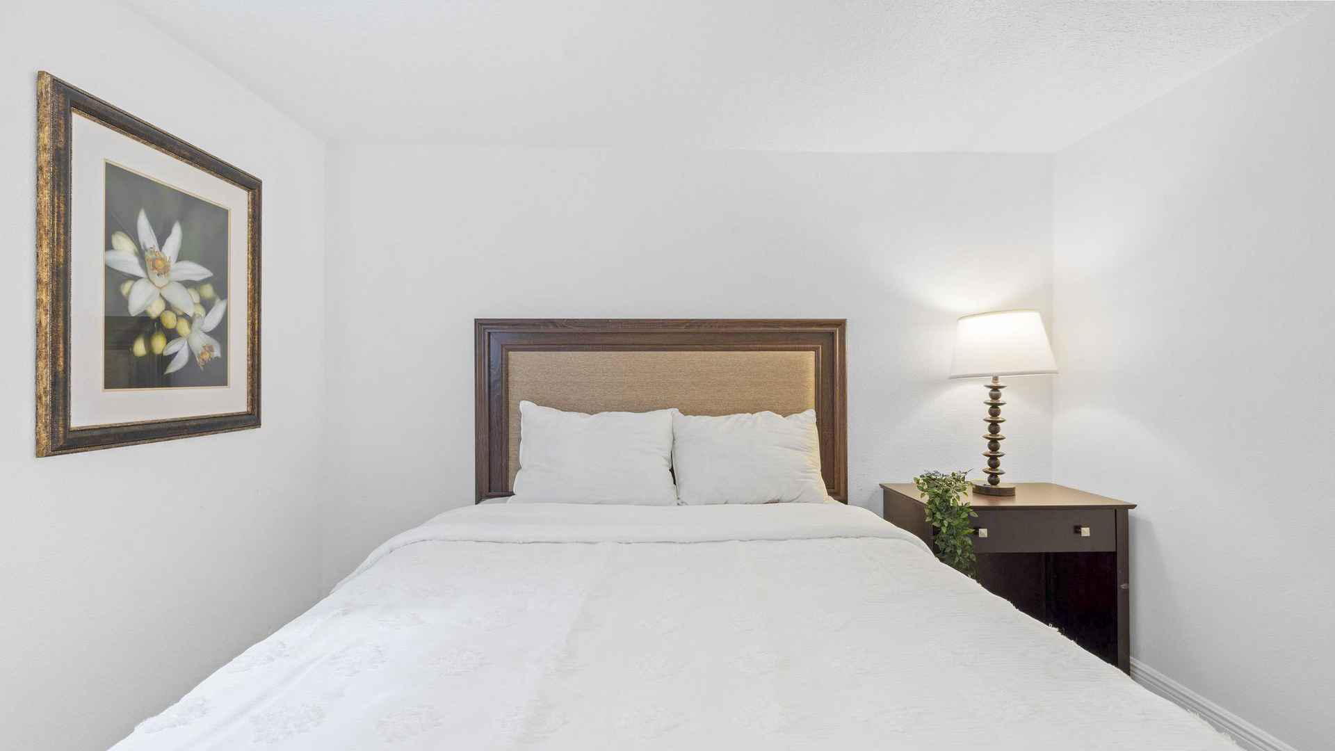 Tampa, FL Affordable Rooms for Rent from $165 | PadSplit